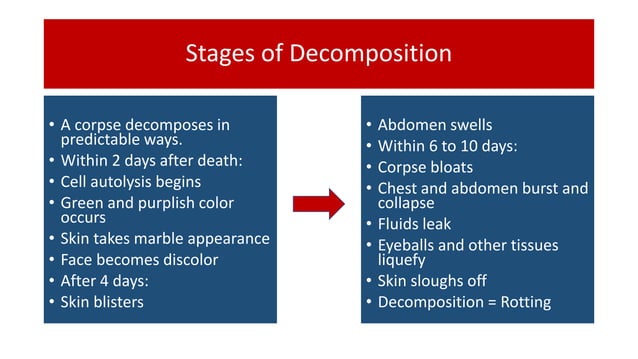 Death and Postmortem Changes | PDF | Death, Injury, or Military ...