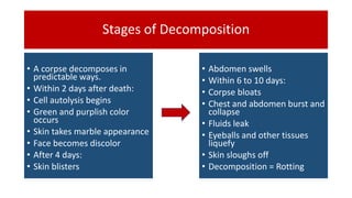 Death and Postmortem Changes | PPT