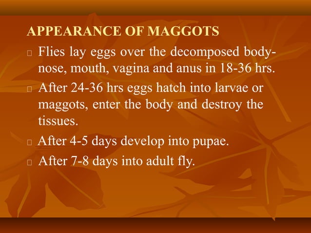 postmortemchangesBYPRANAVKOHLI.pptx