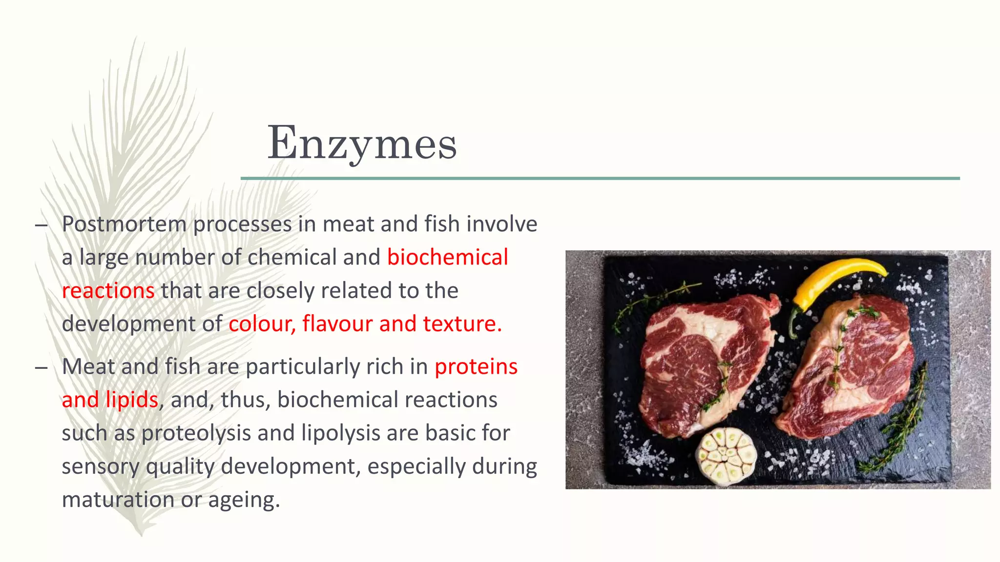 Post mortem changes in enzyme and protein | PPTX