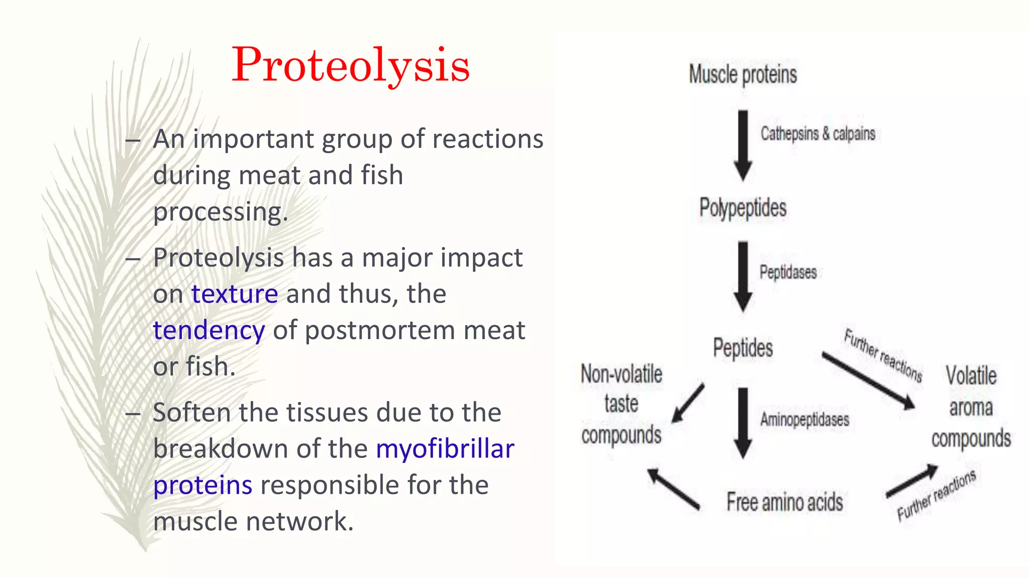 Post mortem changes in enzyme and protein | PPTX