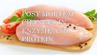 Post mortem changes in enzyme and protein | PPTX