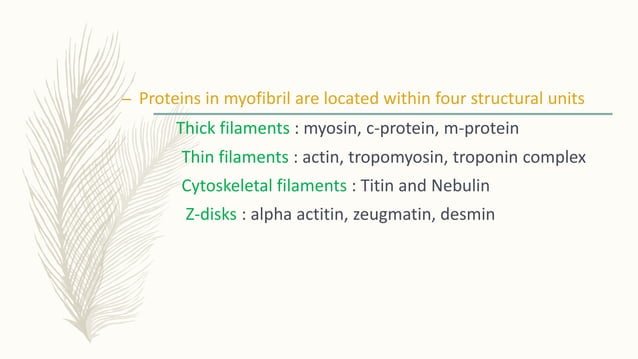 Post mortem changes in enzyme and protein | PPTX