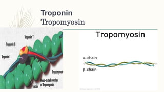 Post mortem changes in enzyme and protein | PPTX