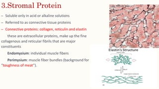 Post mortem changes in enzyme and protein | PPTX