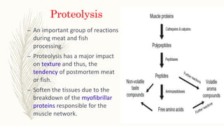 Post mortem changes in enzyme and protein | PPTX