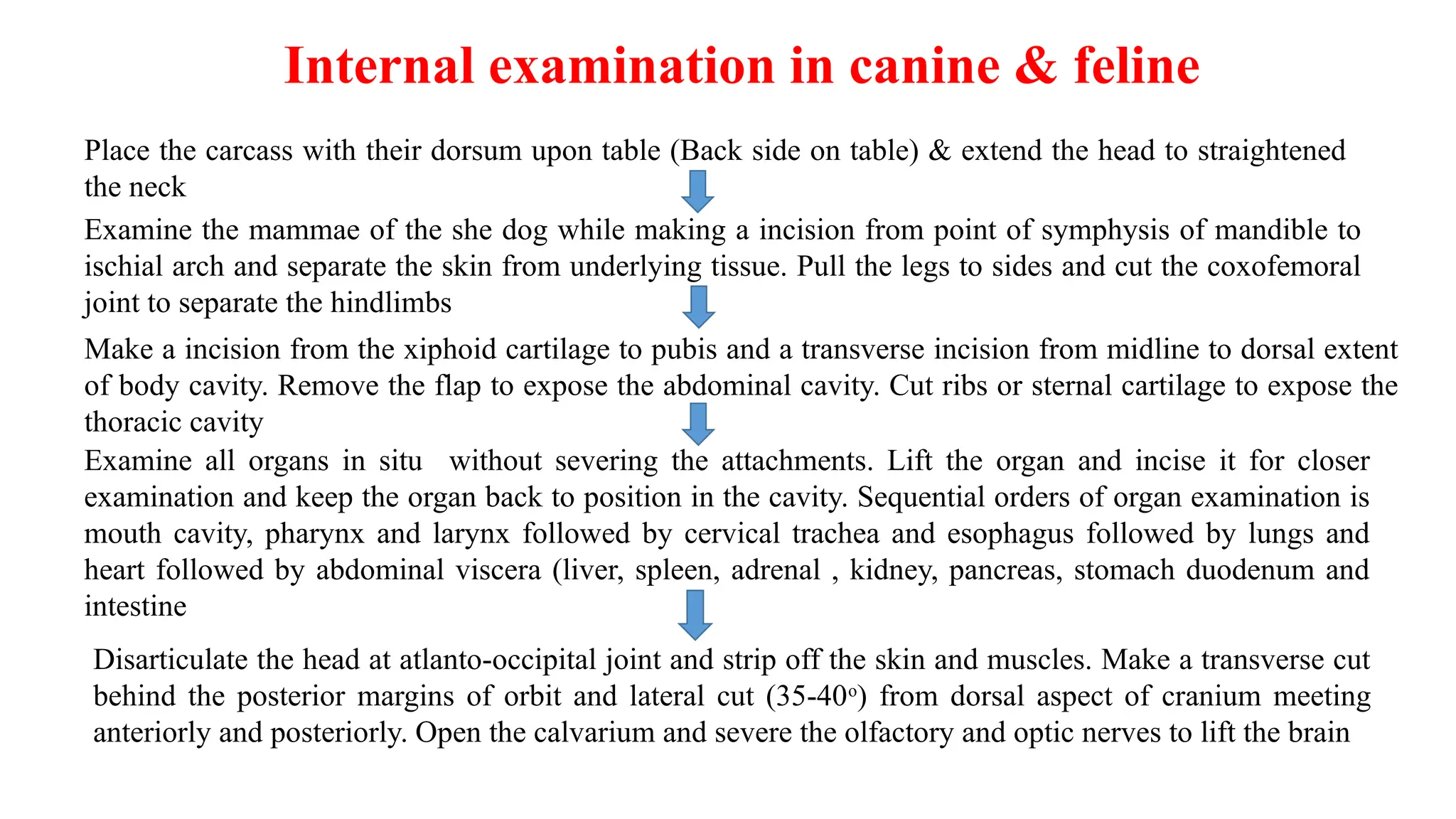 Post mortem Examination of animals and sample collection.pptx