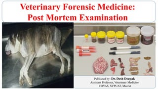 Post mortem Examination of animals and sample collection.pptx