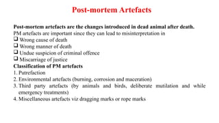 Post mortem Examination of animals and sample collection.pptx