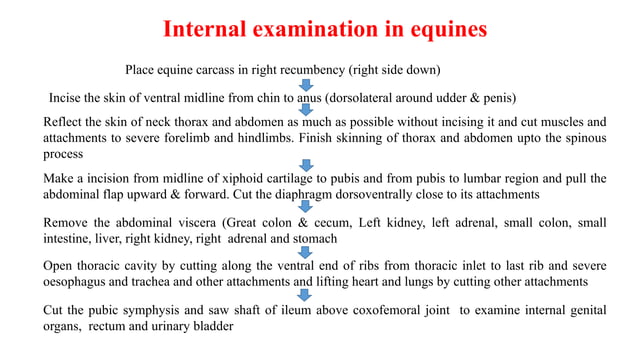Post mortem Examination of animals and sample collection.pptx | Death ...