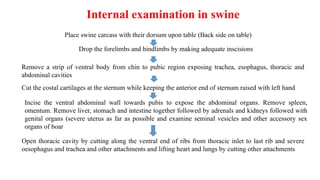 Post mortem Examination of animals and sample collection.pptx
