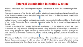 Post mortem Examination of animals and sample collection.pptx