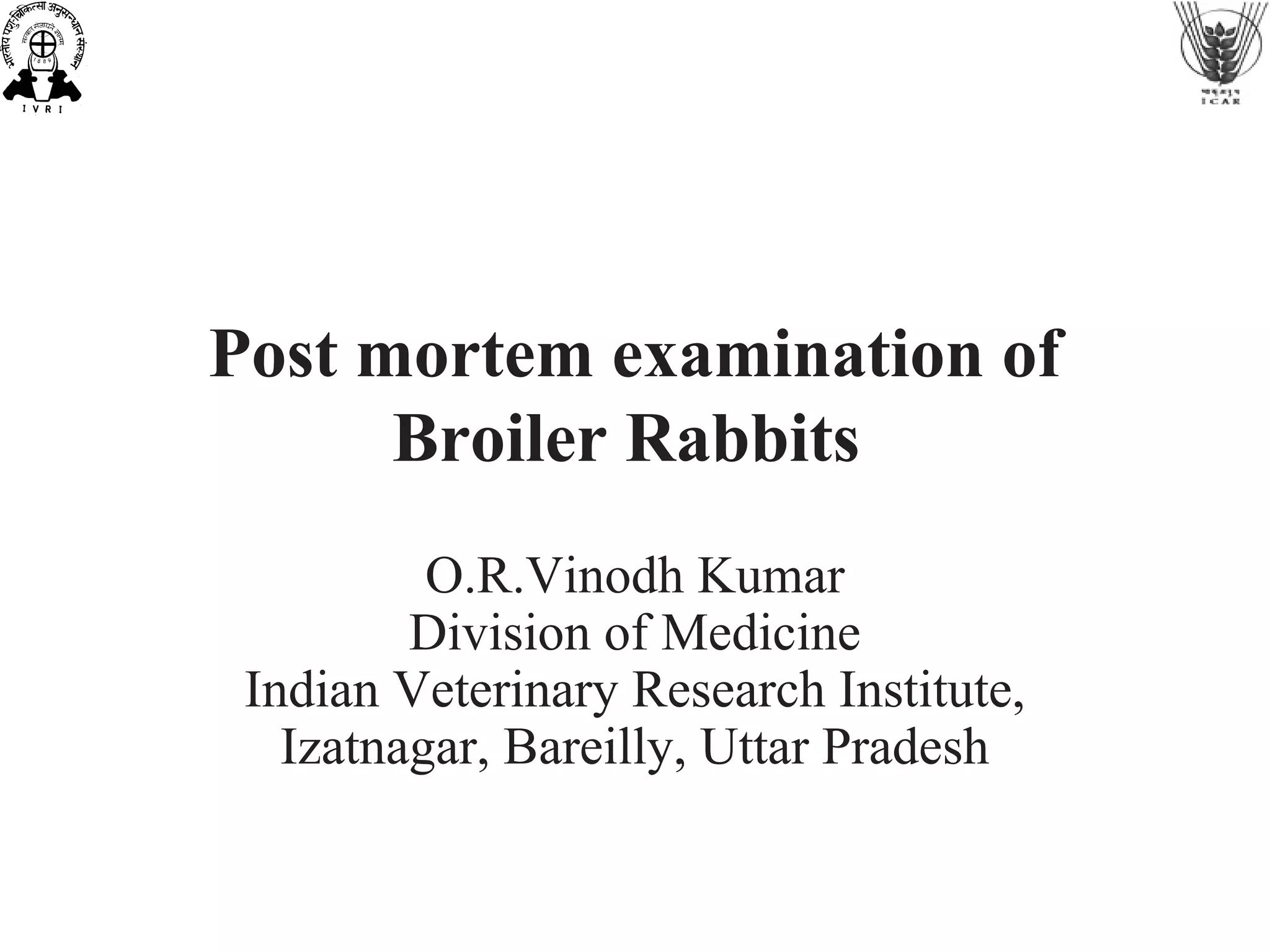 Post mortem examination of broiler rabbits | PPT