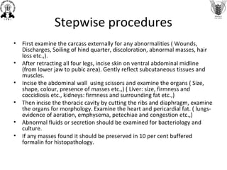 Post mortem examination of broiler rabbits | PPT