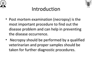 Post mortem examination of broiler rabbits | PPT | Veterinary Medicine ...
