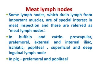 Post mortem inspection in animals | PPTX