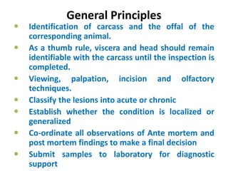 Post mortem inspection in animals | PPTX