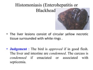 Post mortem inspection in animals | PPTX