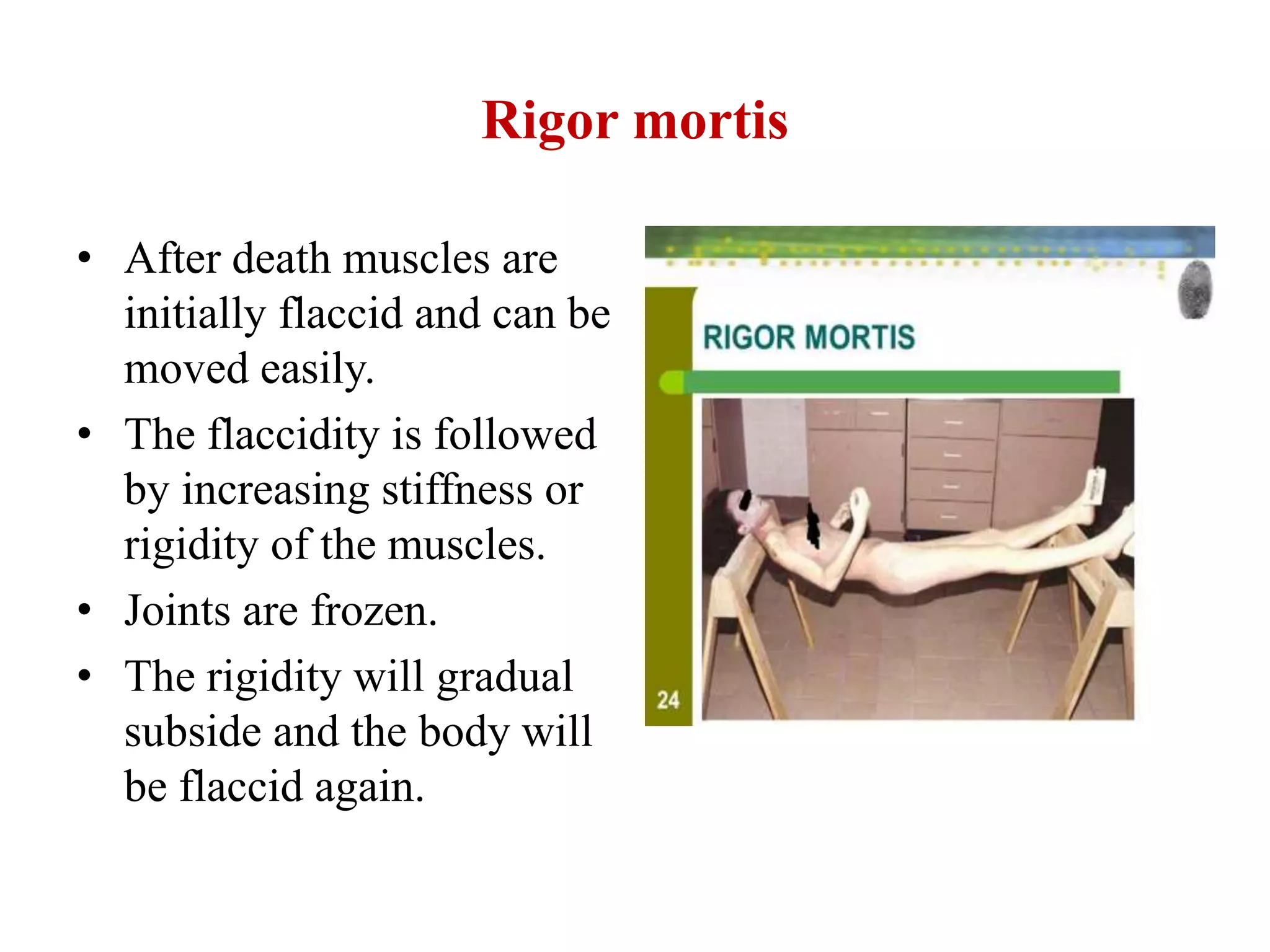 Post mortem interval | PPTX