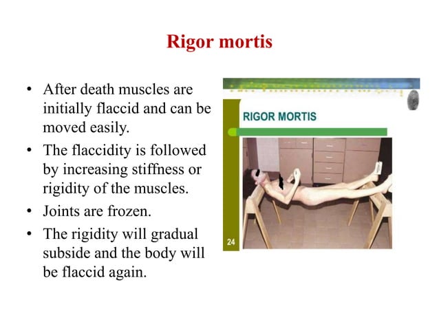 Post mortem interval | PPTX | First Aid | Injuries