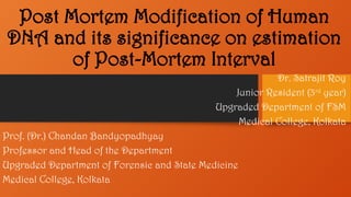 Post mortem modifications in DNA and estimation of PMI.pptx
