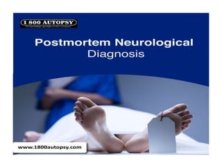 Postmortem Neurological Diagnosis / Brain-Only Autopsy | PPT