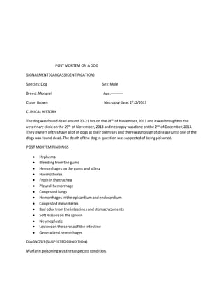 Postmortem report1 | DOCX