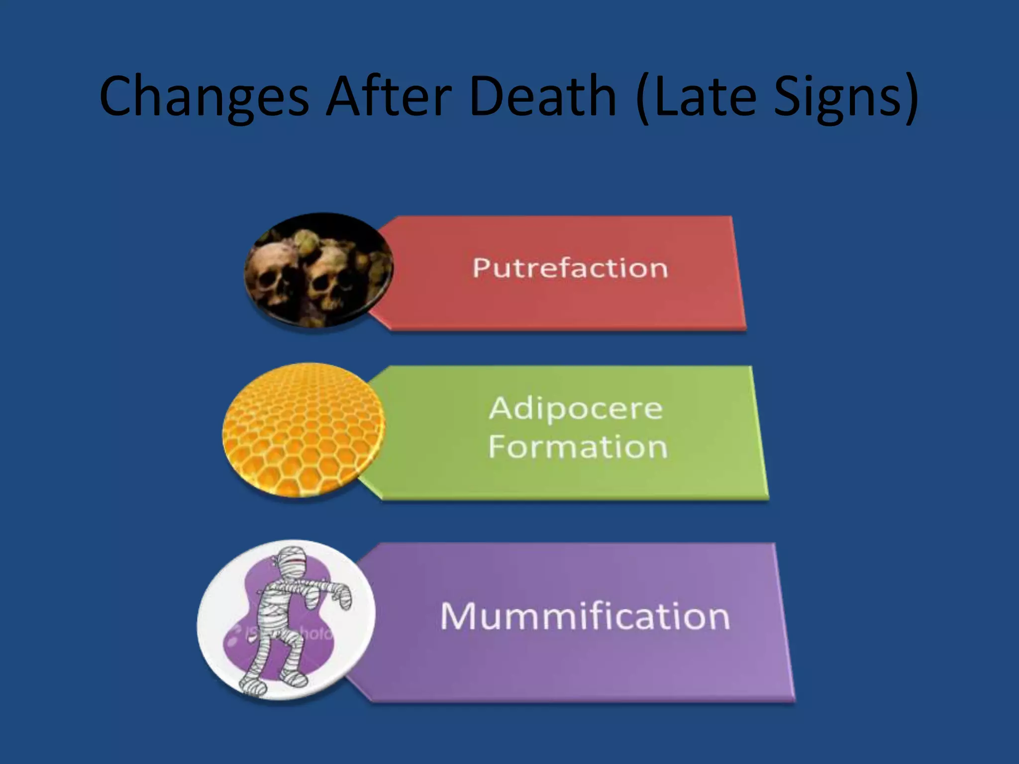 death and p.m changes | PPTX
