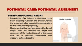 Postnatal-Assessment Presentation in the College of Nursing | PPT