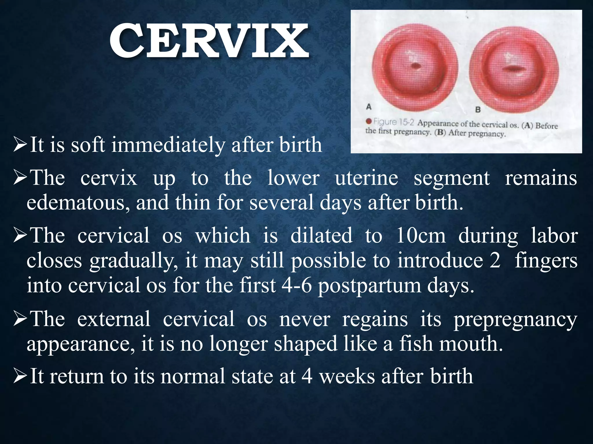 Postnatal Care ppt | PPTX