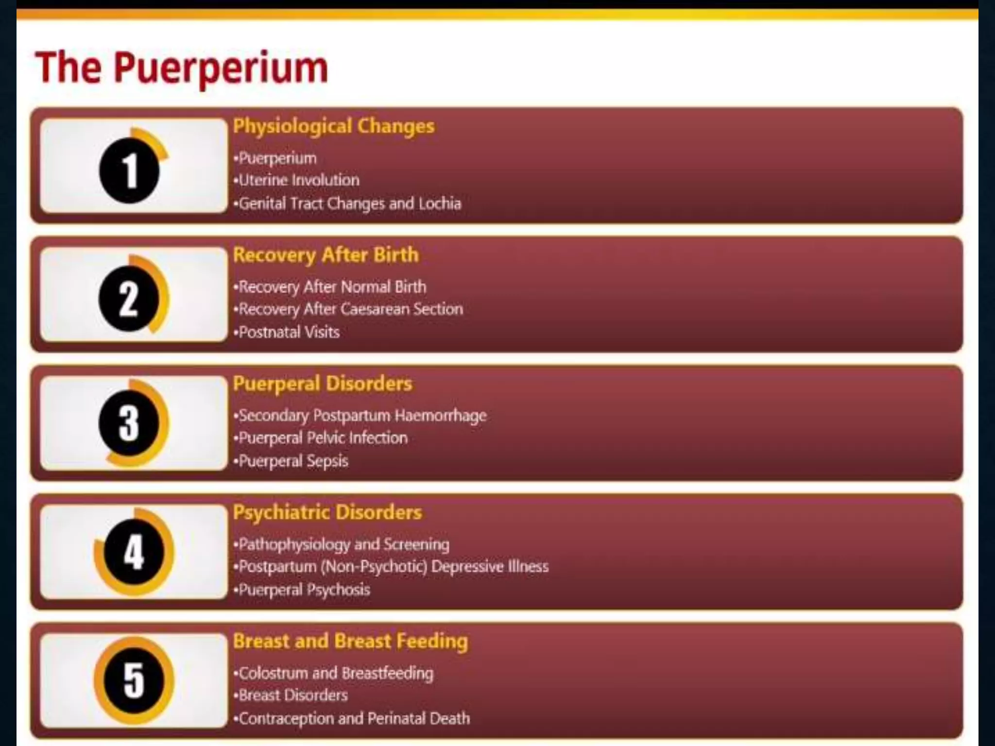 Postnatal Care ppt | PPTX