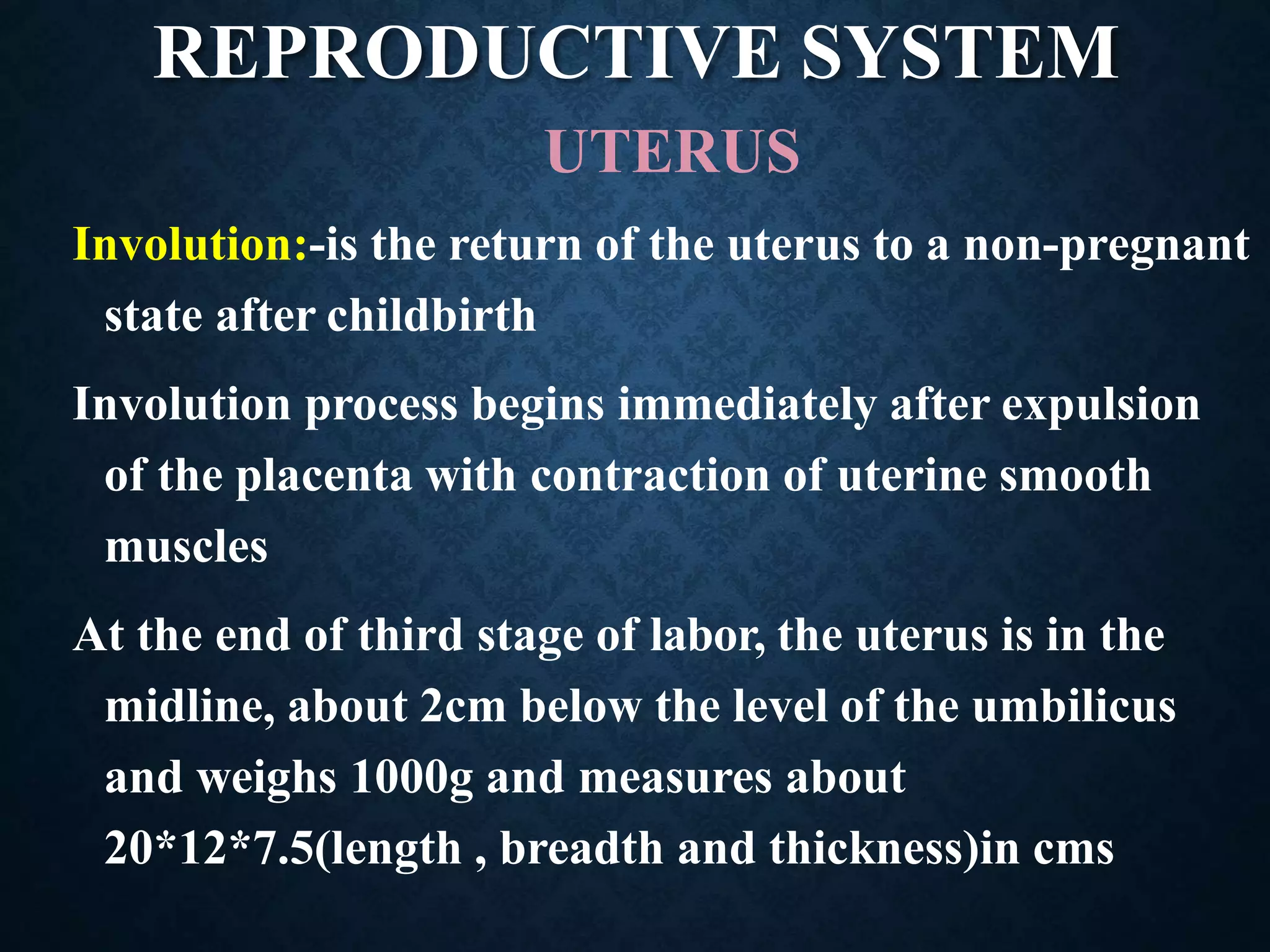 Postnatal Care ppt | PPTX