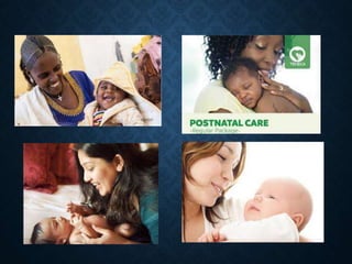 Postnatal Care ppt | PPTX