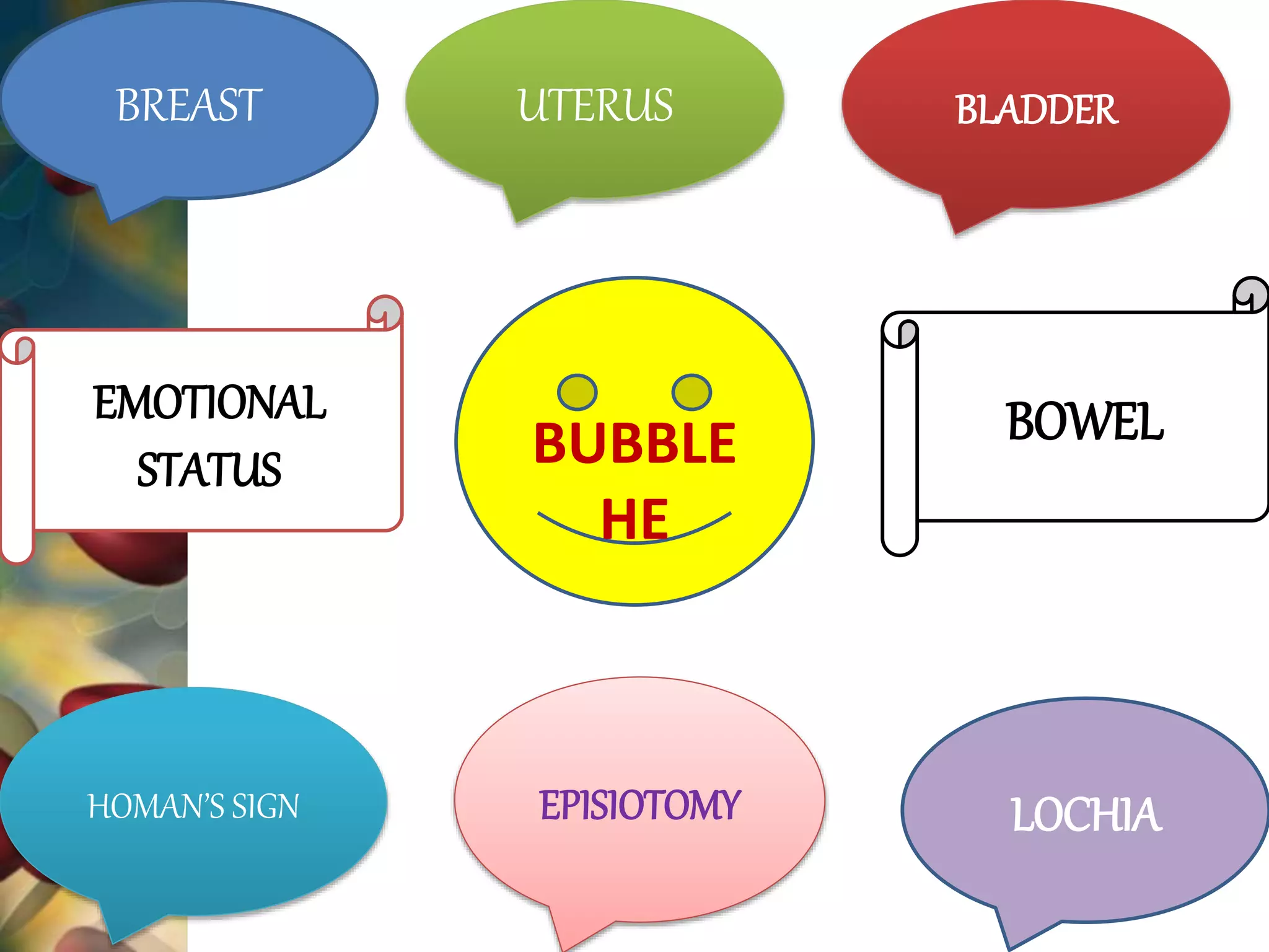 POSTNATAL ASSESSMENT | PPTX