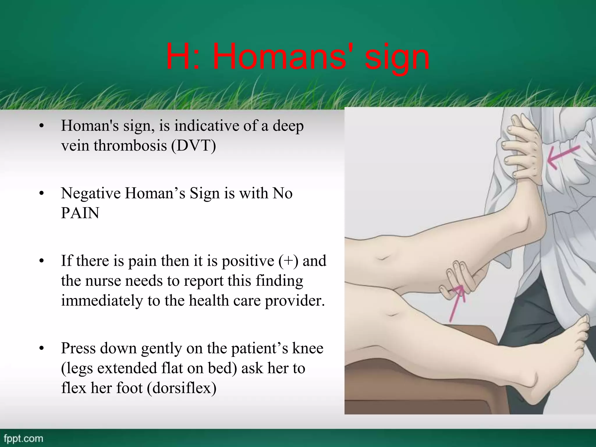 Postnatal assessment | PPTX