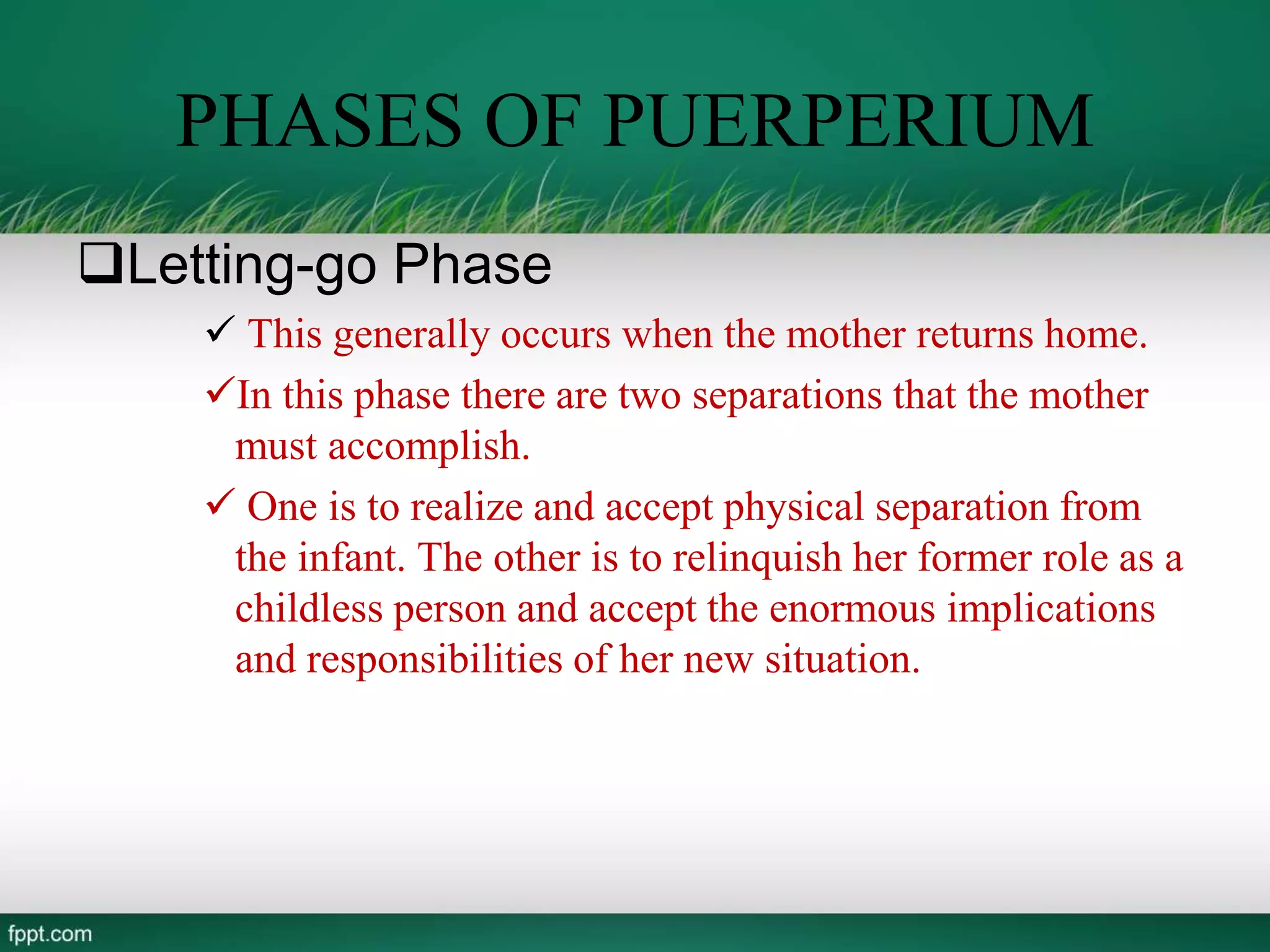 Postnatal assessment | PPTX