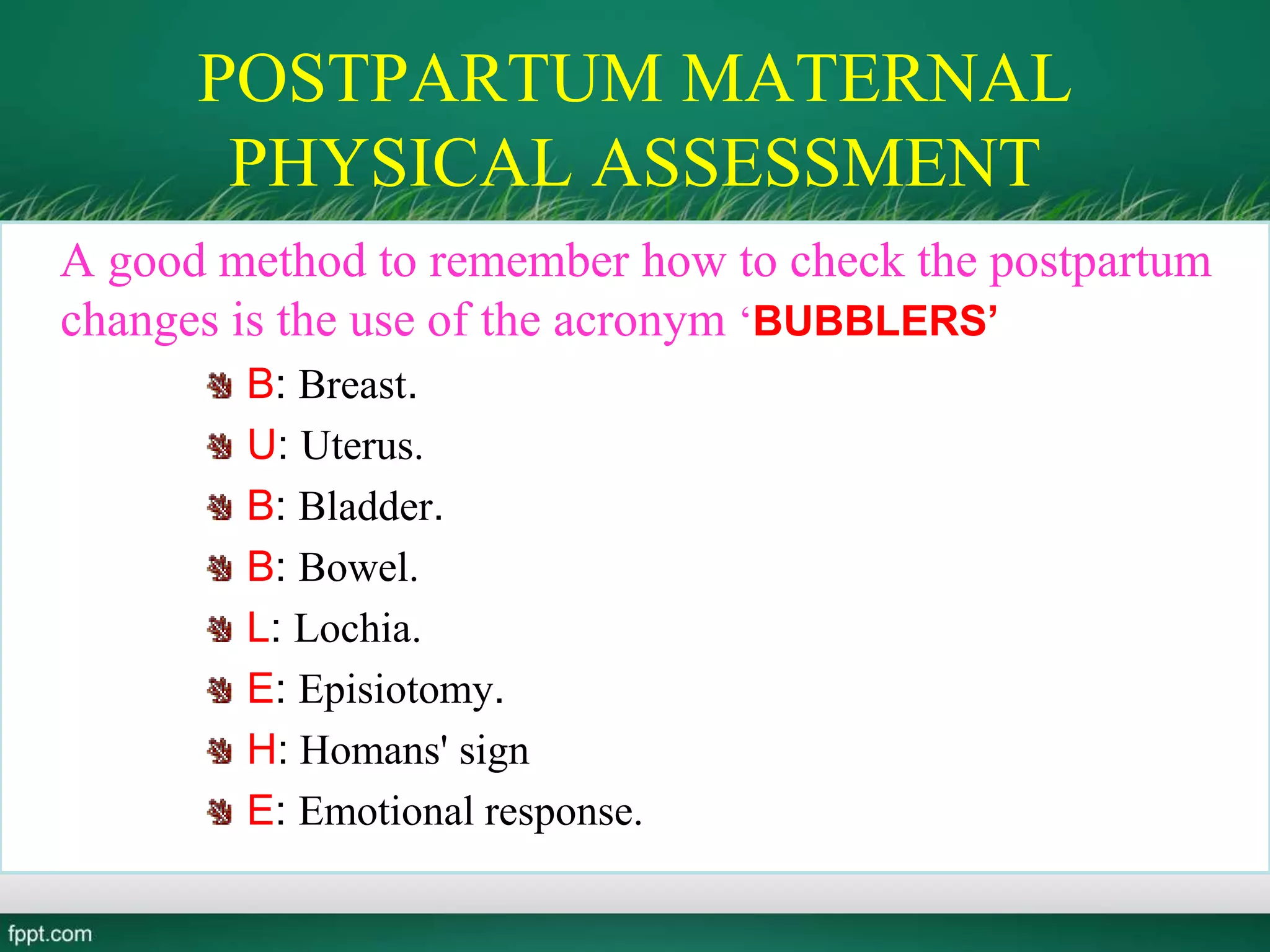 Postnatal assessment | PPT