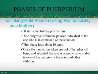 Postnatal assessment | PPTX