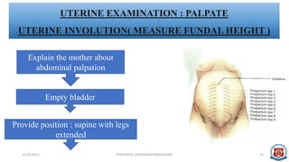 postnatal assessment.pptx