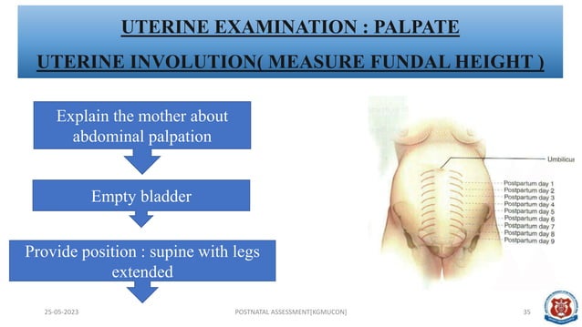 postnatal assessment.pptx | Pregnancy | Reproductive Health