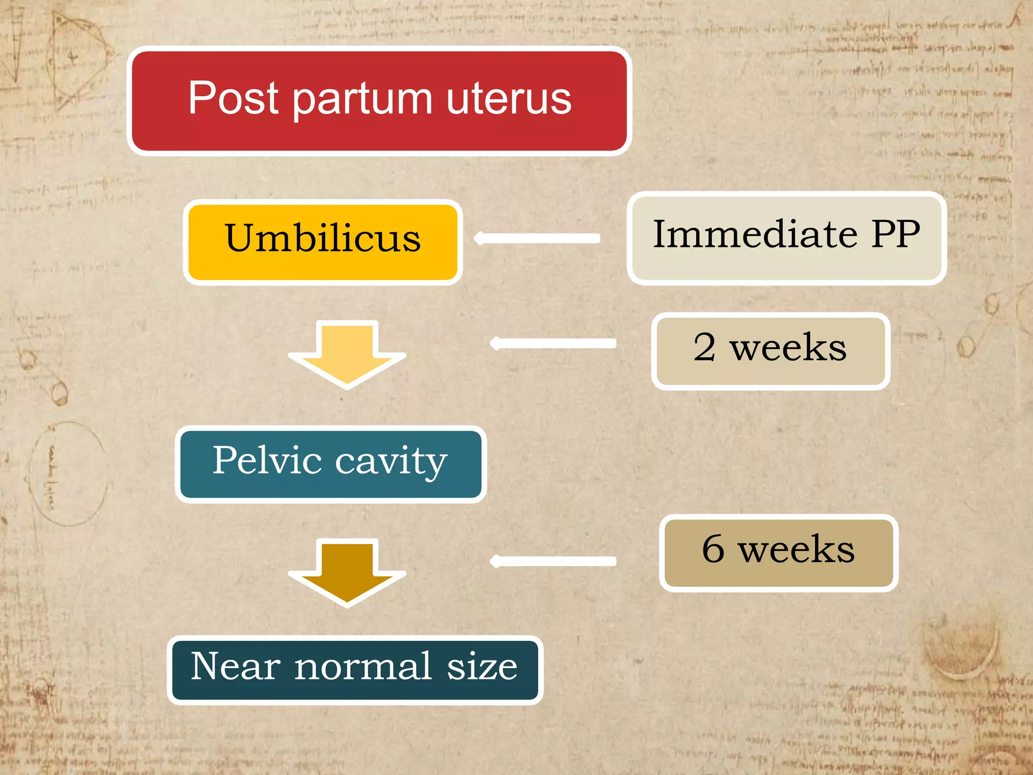 Postnatal complications | PPTX
