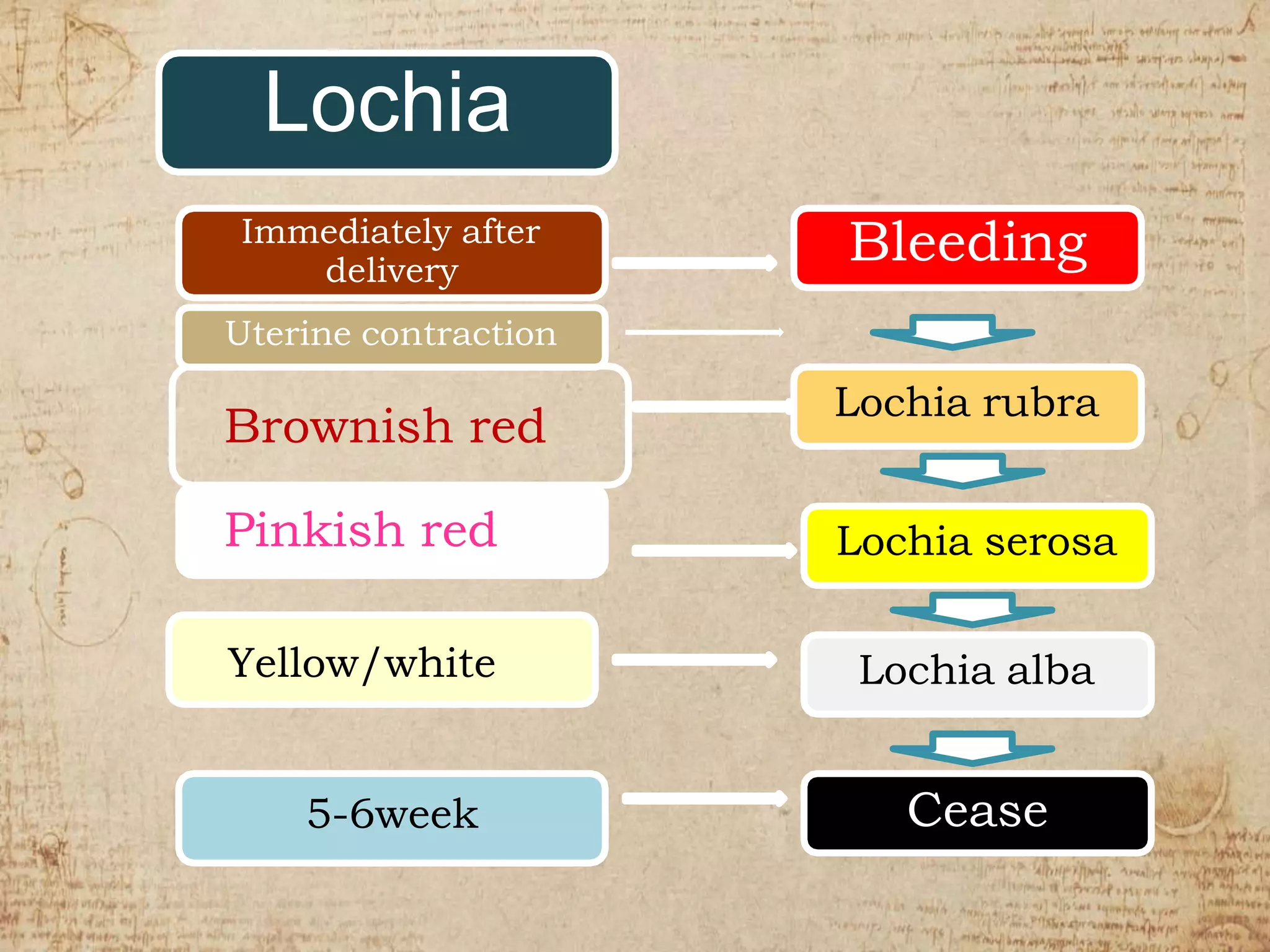 Postnatal complications | PPTX