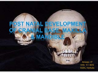 Post natal development of cranial base, maxilla and mandible | PPT