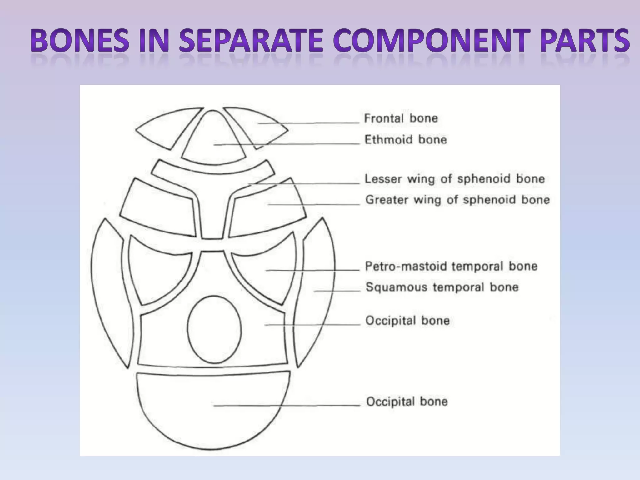 Postnatal growth and development | PPTX | Pregnancy | Reproductive Health