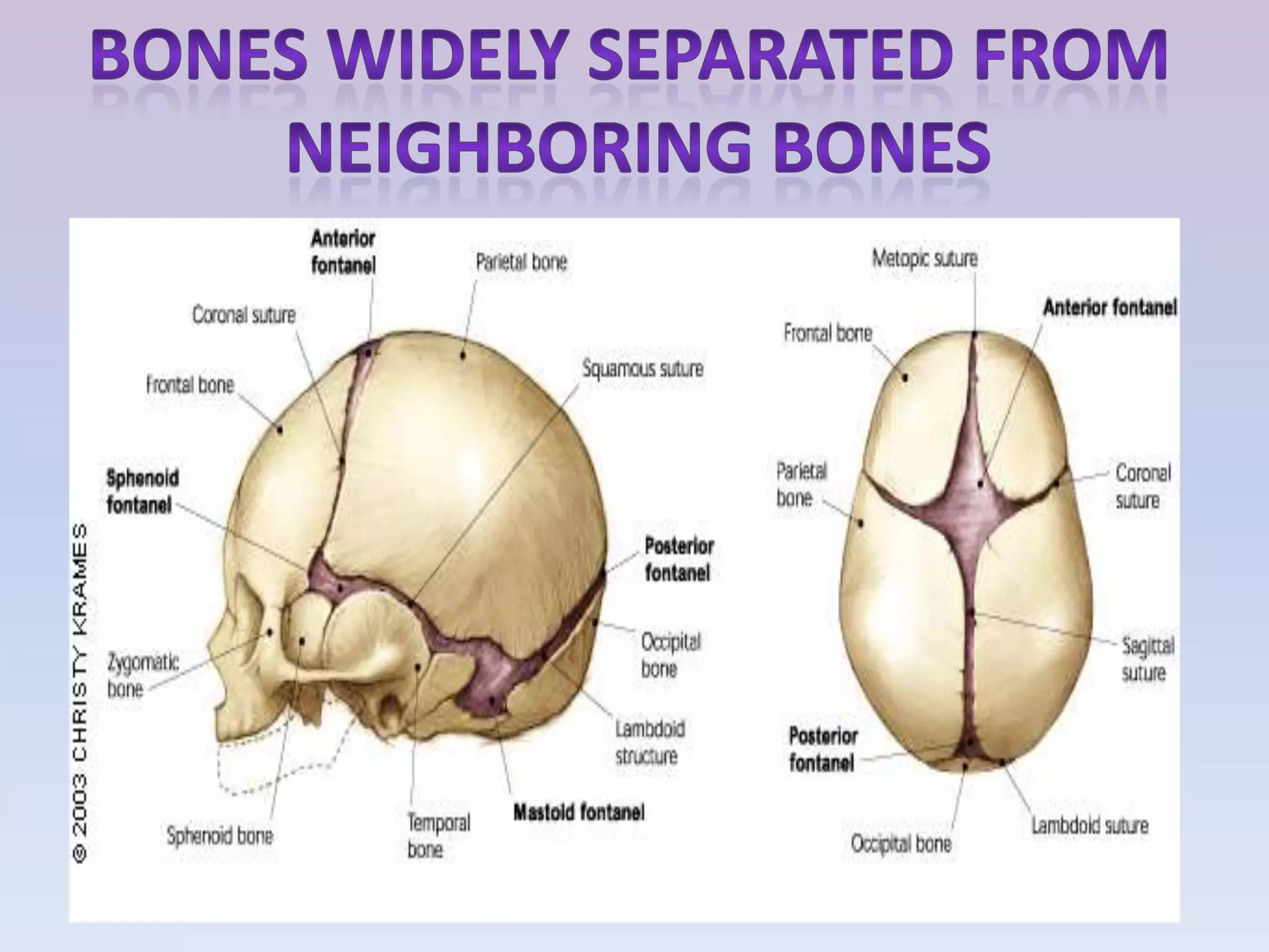 Postnatal growth and development | PPTX