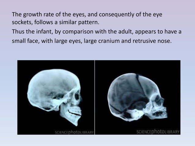 Postnatal growth and development | PPTX | Pregnancy | Reproductive Health