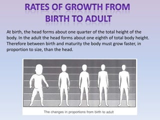 Postnatal growth and development | PPTX | Pregnancy | Reproductive Health