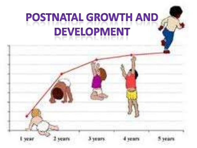Postnatal growth and development