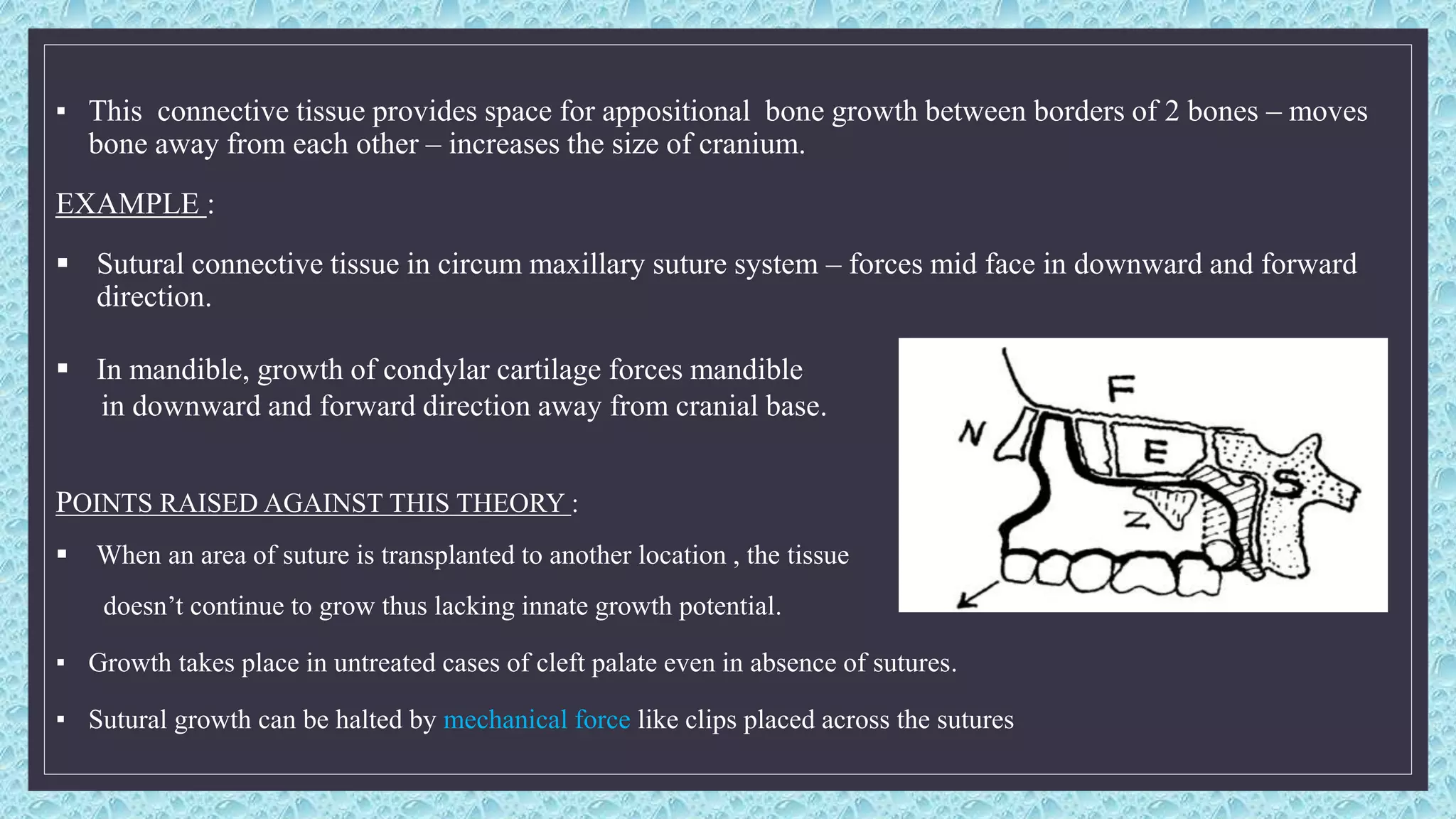 Post natal growth and development of cranio facial complex | PPTX