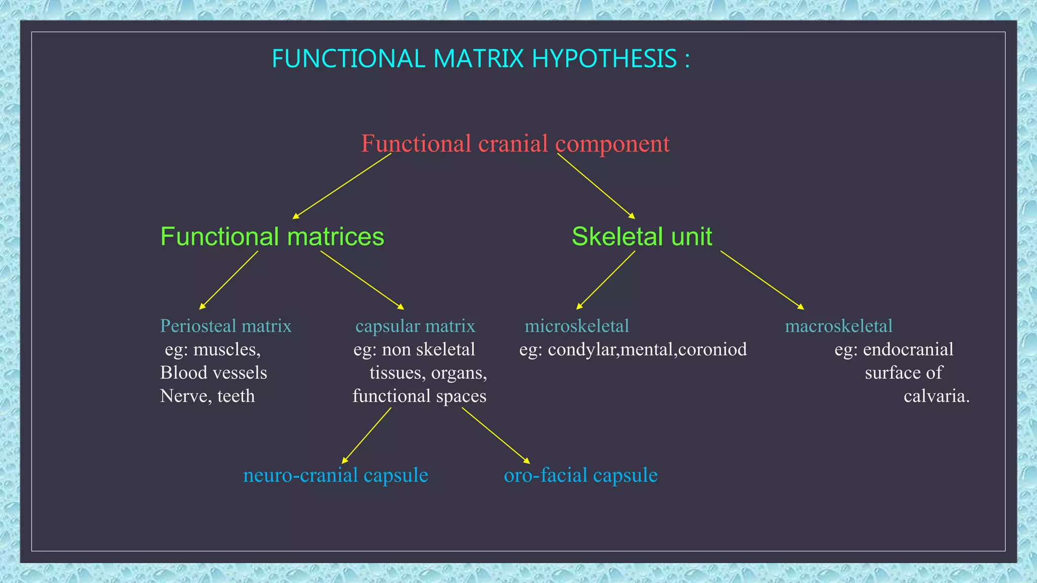 Post natal growth and development of cranio facial complex | PPTX
